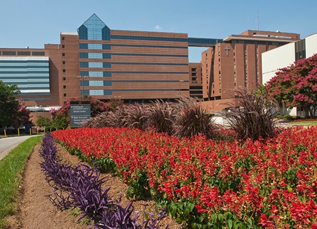 Seven Wake Forest Baptist Specialties Earn Top-50 Rankings in U.S. News ...